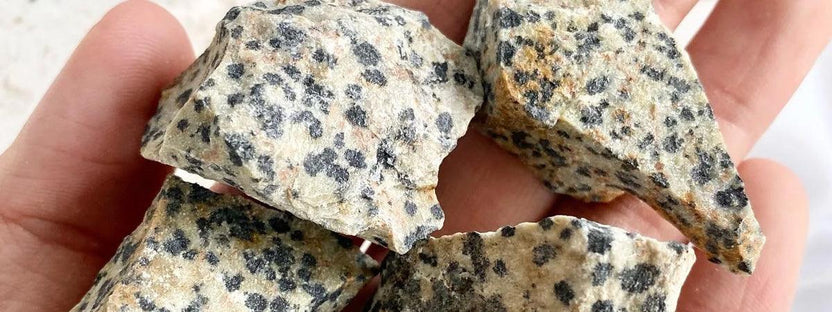 The Complete Guide to Dalmatian Jasper: Formation, Uses, and Healing P ...